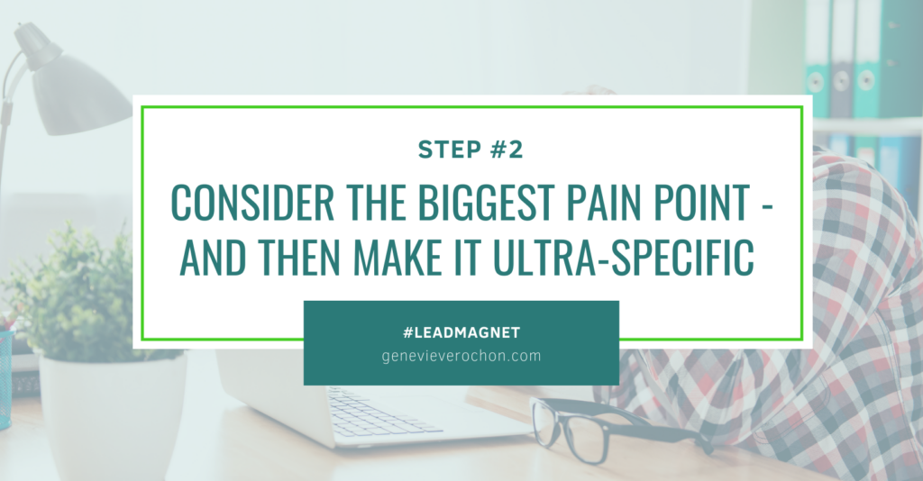 The Ultimate Guide To Create A Lead Magnet: For Coaches and Consultants