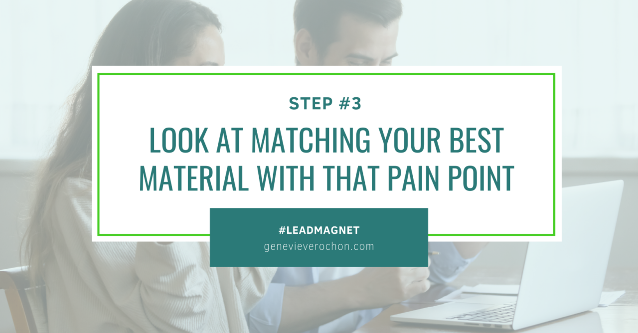 The Ultimate Guide To Create A Lead Magnet: For Coaches and Consultants