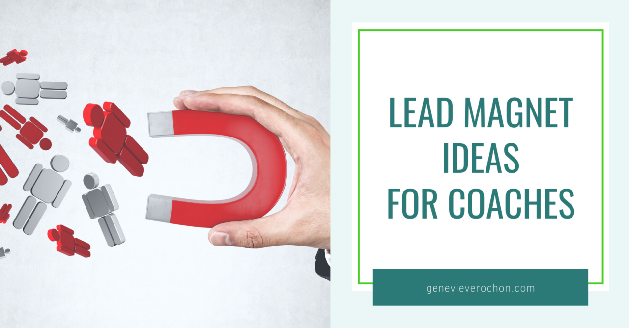 The Ultimate Guide To Create A Lead Magnet: For Coaches and Consultants